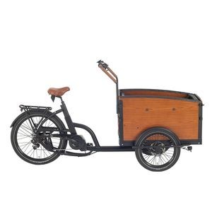 Electric Cargo Bike 250W 7-Speed Cargo Bicycle with Large Capacity ...